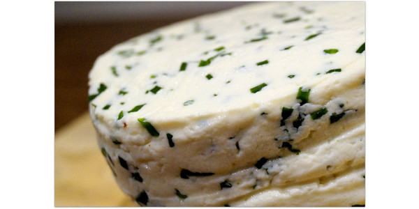 Survey seeks opinions on Wisconsin Cheese label | Dairy Business News