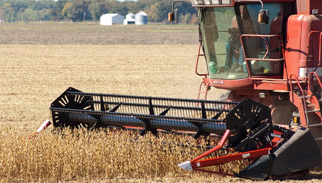 U.S. Soybean Growers: Consider Container Shipping | Dairy Business News