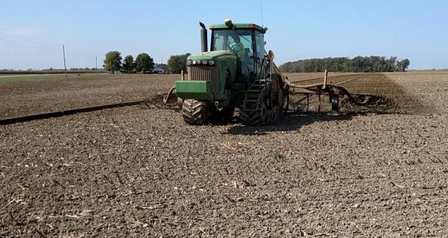 Surface application of manure to newly planted wheat fields | Dairy ...