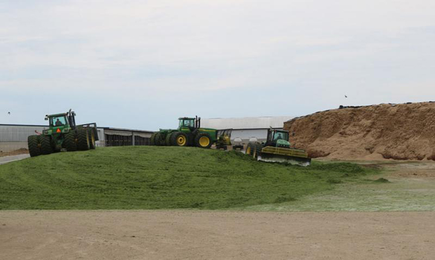 Be Safe and Smart Around Silage | Dairy Business News