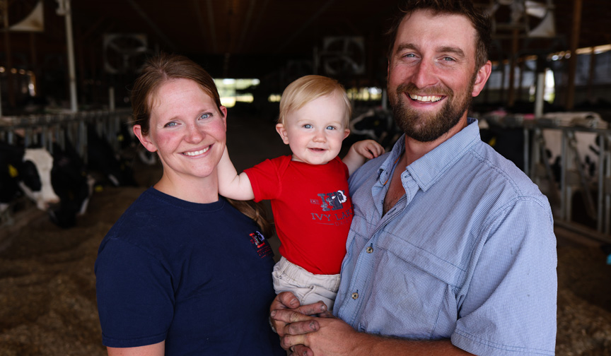 Dairy in the Conversation Leading to UN Food Systems Summit | Dairy ...