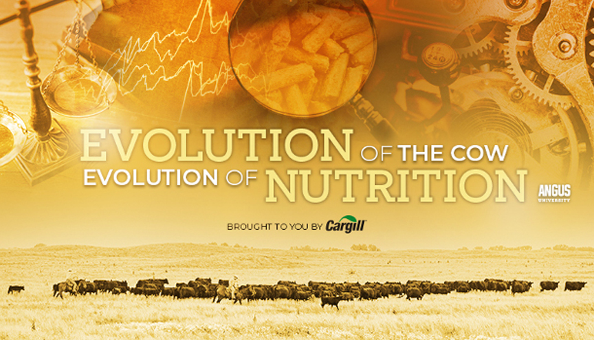 Finding balance: When cow nutrition and performance meet | Dairy ...