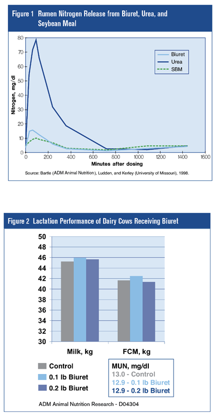 Biuret Feed Additive Can Offset Rising Feed Prices | Dairy Business News