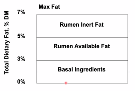 Strategic Use of Fat in Dairy Rations | Dairy Business News