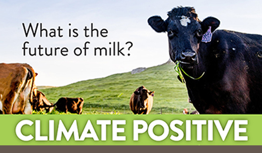 Straus Dairy Farm’s Carbon-Neutral Goal Draws Near as CDFA Approves ...