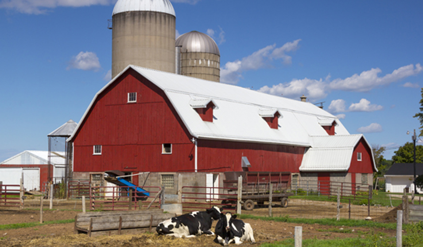 5 Modern Dairy Industry Benefits To Acknowledge And Celebrate | Dairy ...