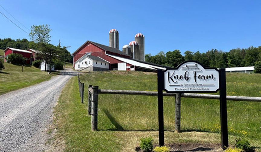 Meet The Dairy Farm: Knob Farm | Dairy Business News