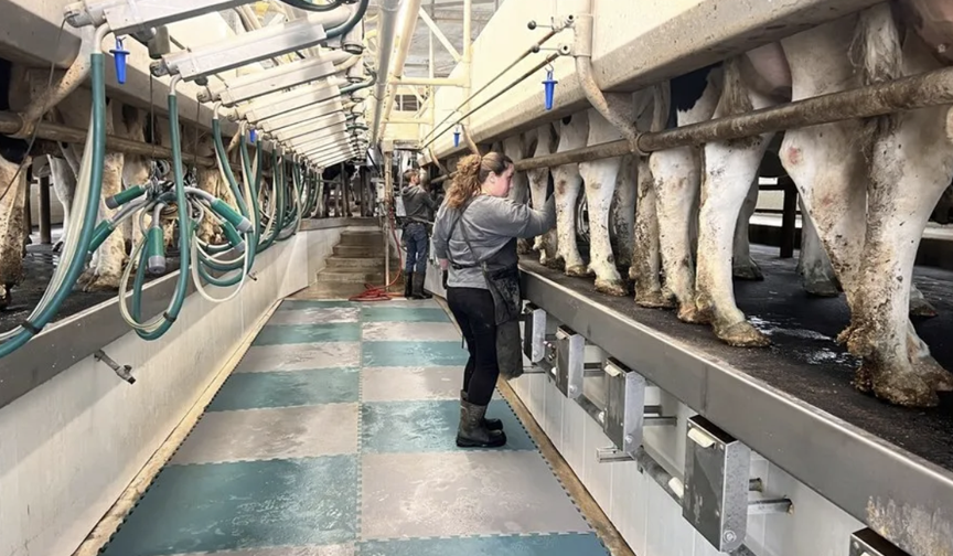What is a Milking Evaluation and How Can it Help Improve Milk Quality ...