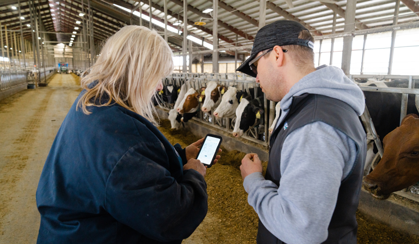 3 big benefits of cow locating | Dairy Business News