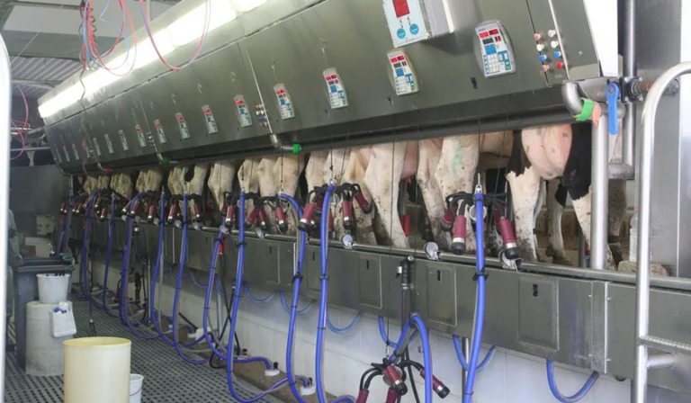 The path to exceptional milk quality | Dairy Business News