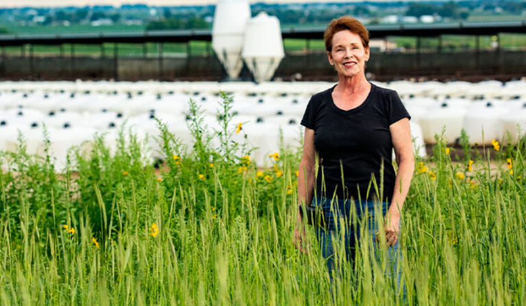 Talking cooperative leadership with dairy farmer Mary Kraft | Dairy ...