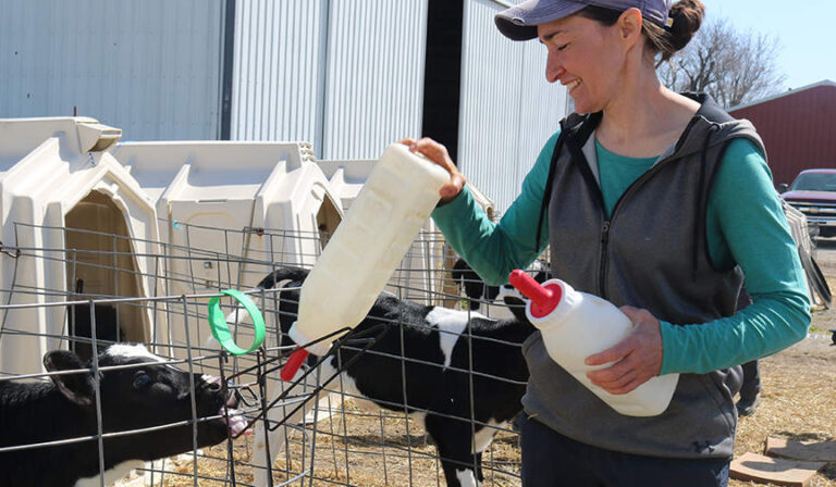 Cow & Calf Care | Dairy Business News