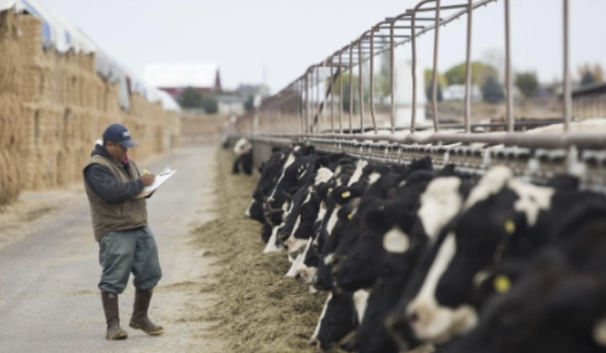 Dairy Products Stocks Fall As Milk Production Growth Remains Weak ...