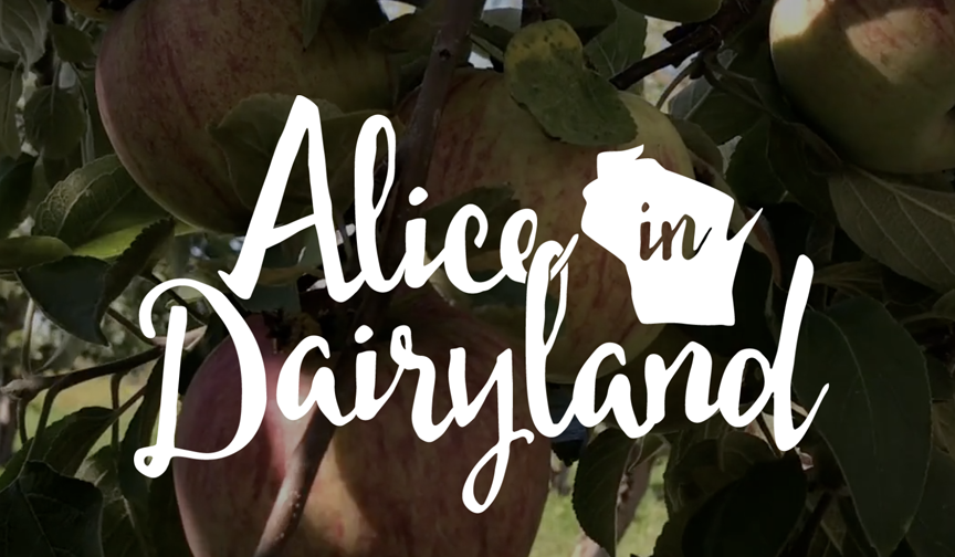 77th Alice in Dairyland Top Candidates Announced | Dairy Business News