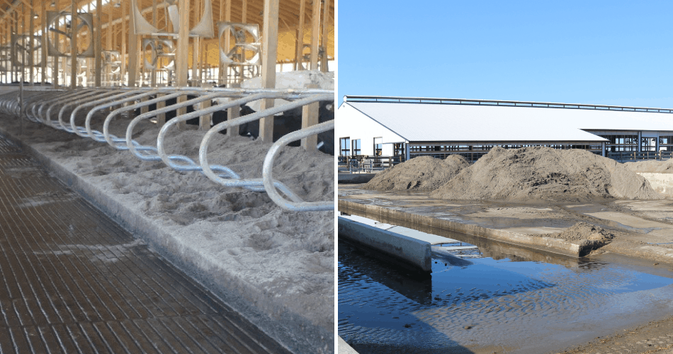 6 Genius Ways Farmers Reduce, Reuse & Recycle | Dairy Business News