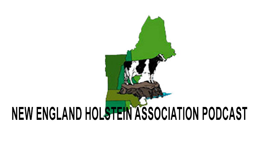 New England Holstein Podcast: Betsy Bullard talks with Greg Norris ...