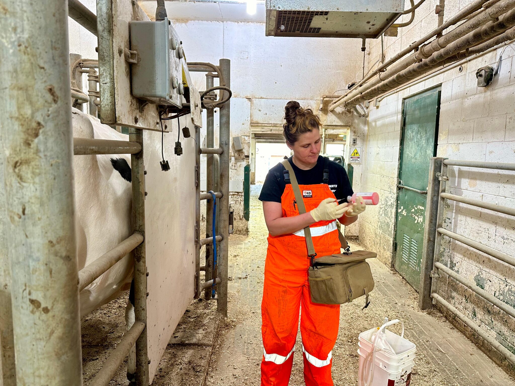 Spartan staff essential to efforts of award-winning MSU Dairy Farm ...