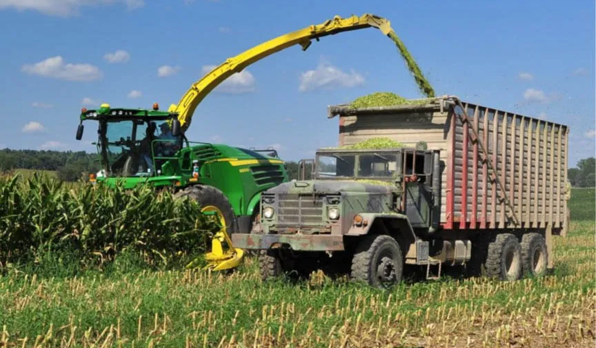 Corn Silage Dry Down Update: Week of August 26, 2024 | Dairy Business News