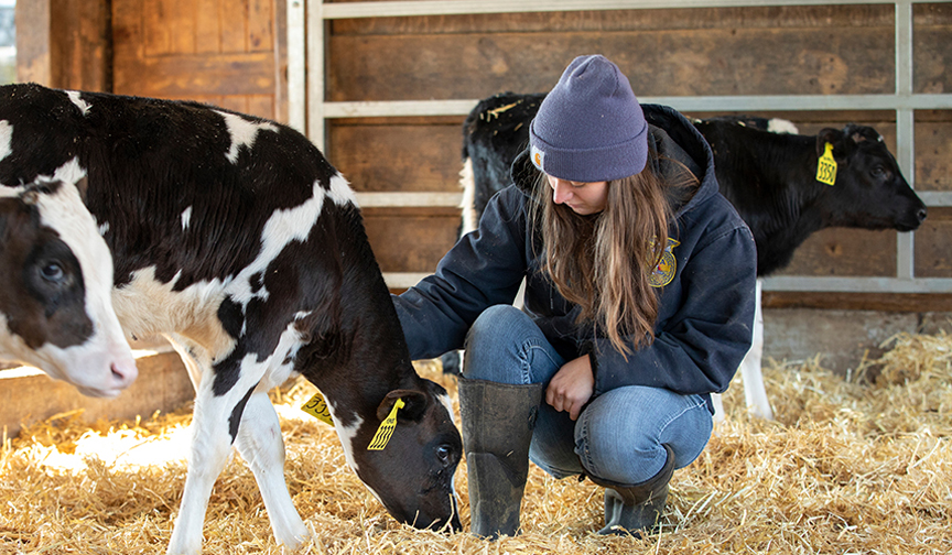 Milked with love: How dairy farmers make ethical dairy farming their ...