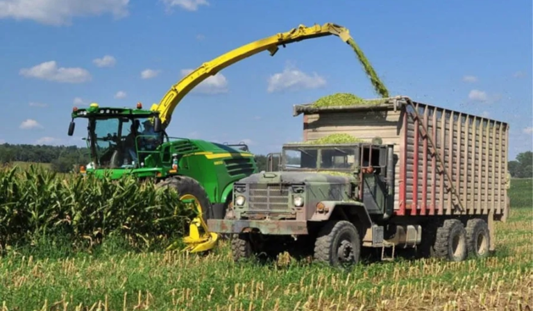 2024 Corn Silage Dry-Down Update: Completed | Dairy Business News