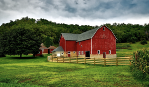 Farm Bankruptcies Hit Six-Year High in April | Dairy Business News