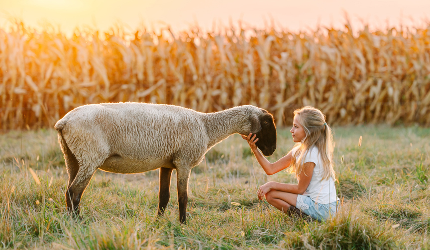 Winners of Indiana Farm Bureau Photo Contest Announced | Dairy Business ...