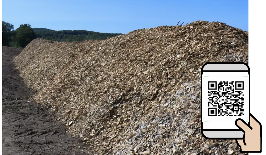 Composting Cow Carcasses: A Practical Guide for Dairy Farmers | Dairy ...