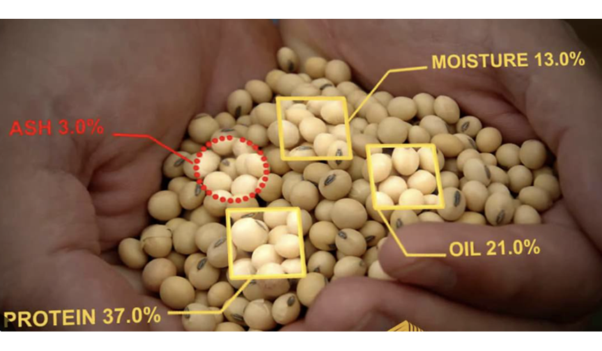 Benefits of High-Oleic Plenish Soybeans | Dairy Business News