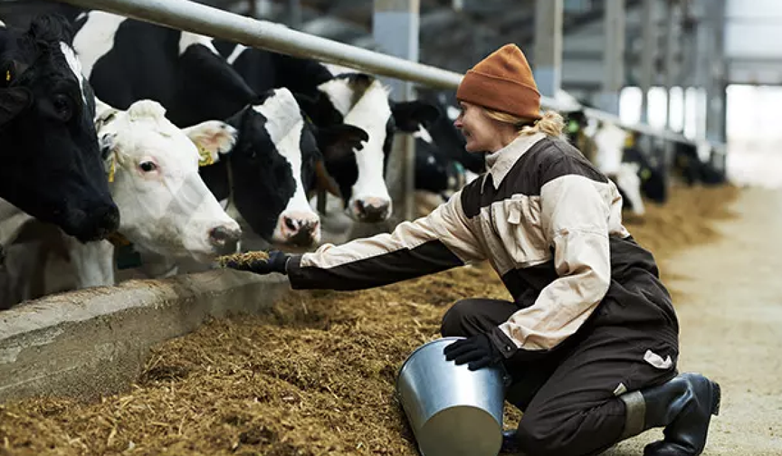 USDA creates milk testing strategy to combat H5N1 in dairy cattle ...