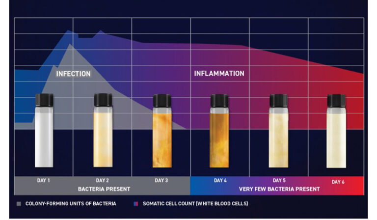 Reduce Mastitis Costs and Antibiotic Use with Short-Duration Treatment ...