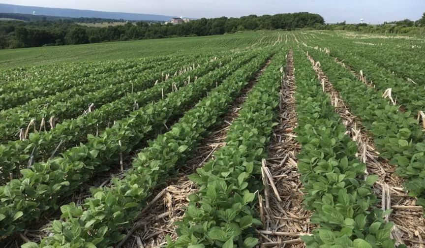 Your Guide to Field and Forage Crop Services from Penn State Extension | Dairy Business News