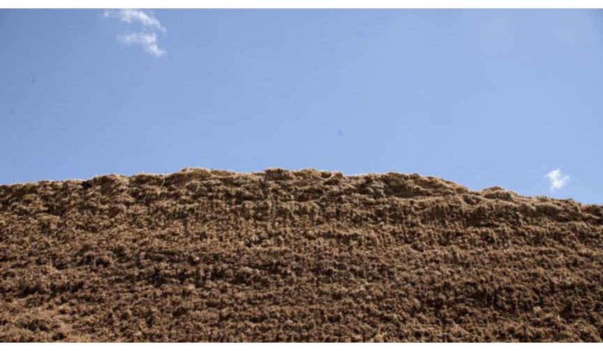 Better forage and fermentation: Understanding silage inoculants | Dairy ...