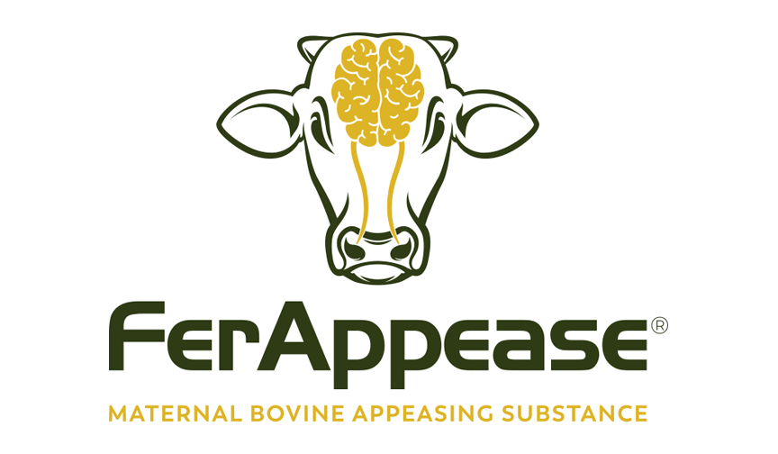 Postpartum research shows FerAppease reduces health challenges and pain ...