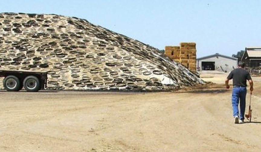 How Big Should Your Silage Pile Be? | Dairy Business News