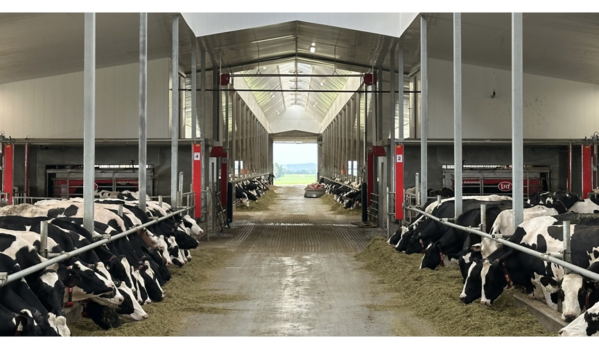 Robotics Replace Rotary on Dairy Farm Focused on Labor, Efficiency ...