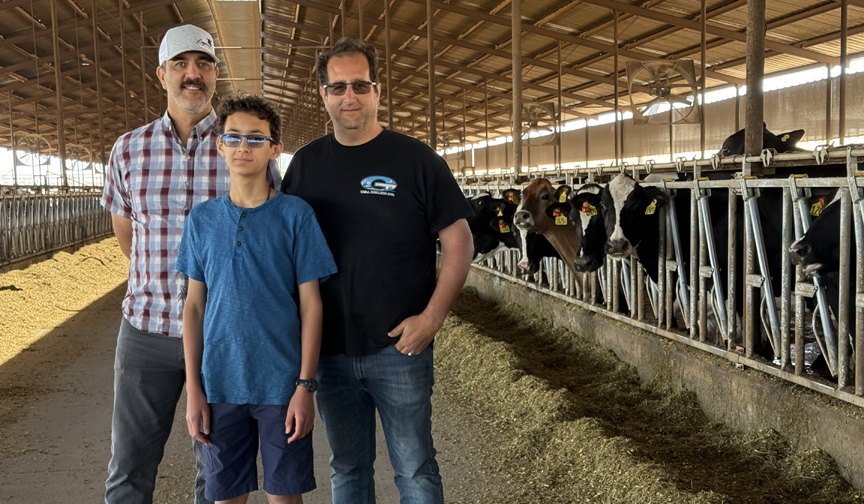 Catch Bird Flu in Dairy Cows Early to Minimize Risk | Dairy Business News