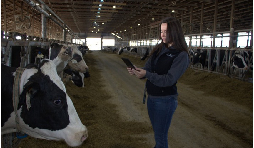 DRMS Introduces FreshFocus Featuring Fresh Cow Index (FCI) — A New ...