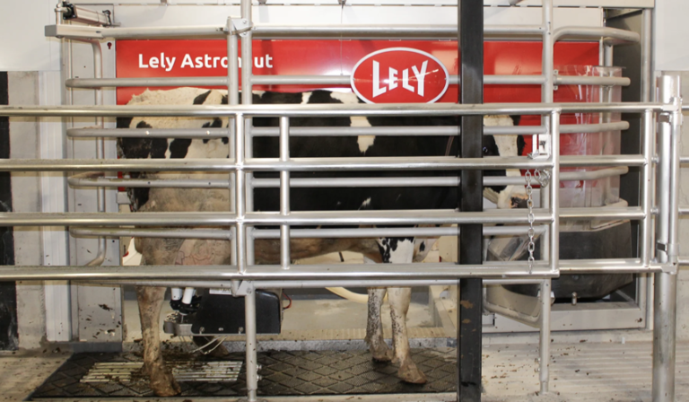 From Tradition to Technology at J-Springs Dairy | Dairy Business News
