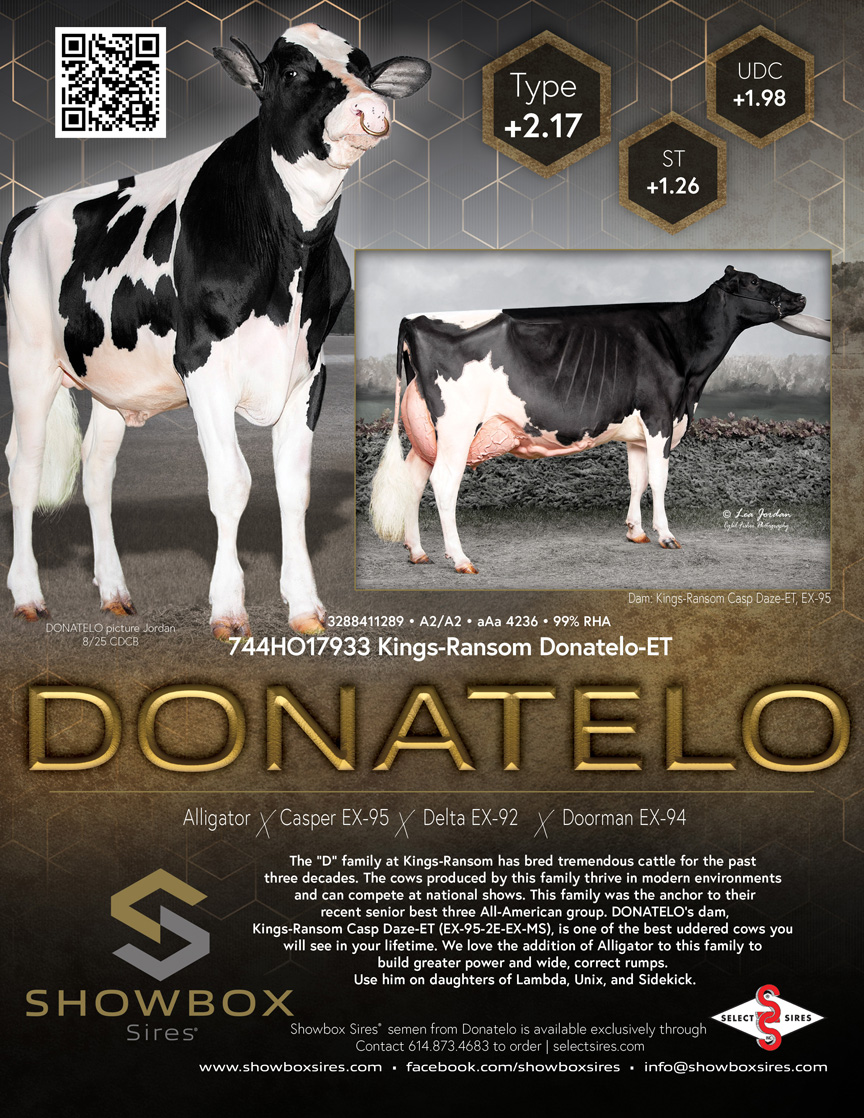 Showbox Sires Releases a new Bull – Kings Ransom Donatelo | Dairy ...