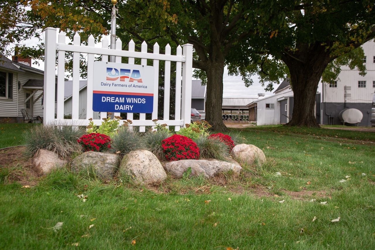 Farmer Focus: Windemuller redefines dairy storytelling | Dairy Business News