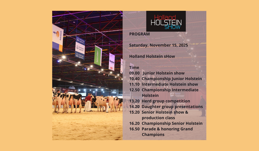 A full program at the Holland Holstein sHow! | Dairy Business News