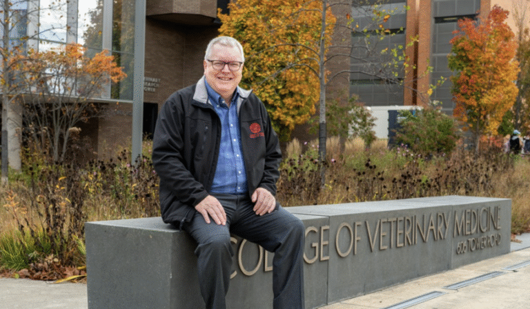 Lorin Warnick to end term as veterinary college dean | Dairy Business News
