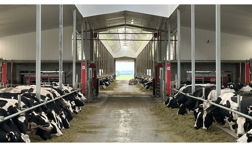 A Practical Guide to Planning Your Automated Milking Barn | Dairy ...