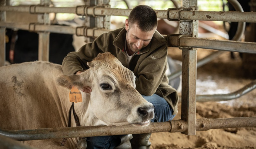 NMPF Farmer Focus: Dream Winds Dairy Coopersville, MI | Dairy Business News