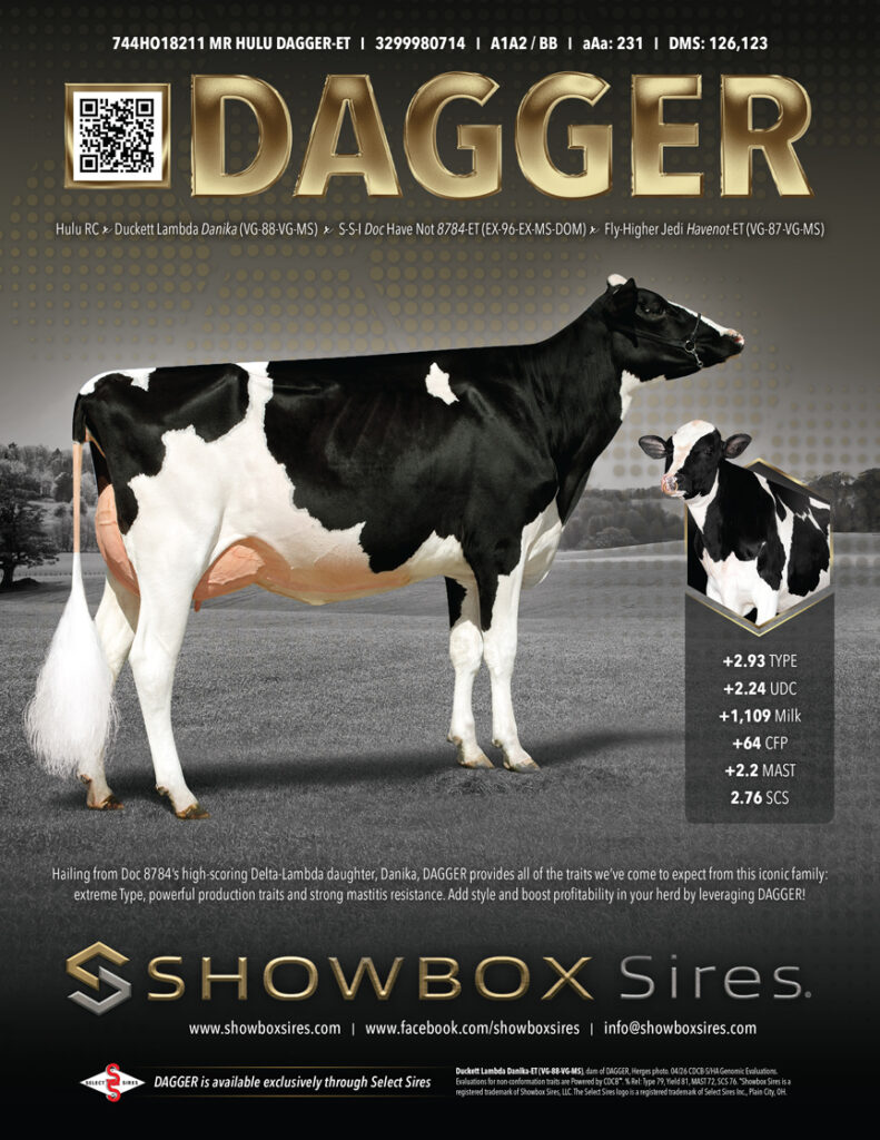 Showbox Sires Newest Release Bull 744HO18211 Mr Hulu Dagger-ET | Dairy ...