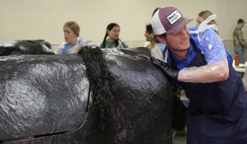 The Hidden Costs of Employee Turnover on a Dairy | Dairy Business News